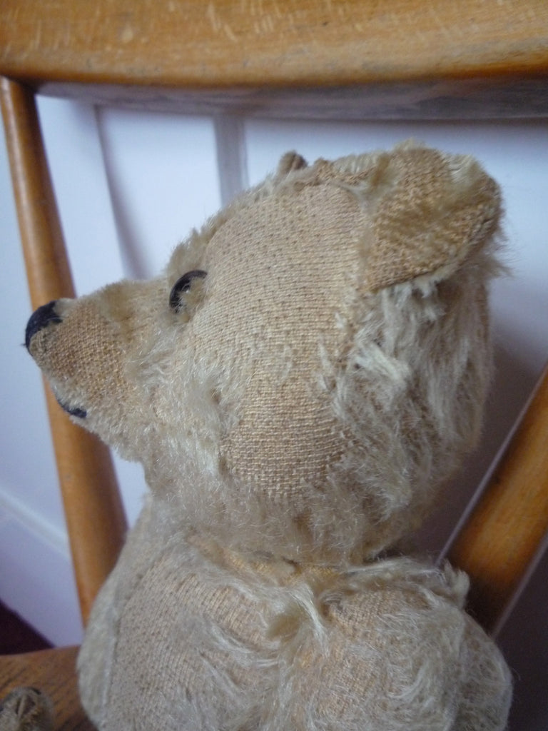 (1950) Chiltern Ting-a-ling Bonkers Sold £40 – Grandma's Teddies